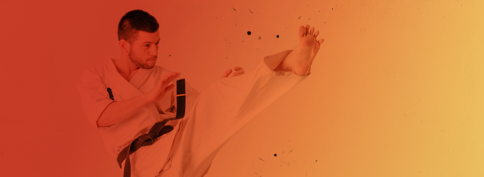 Home - Martial Arts Family Studio - New York City